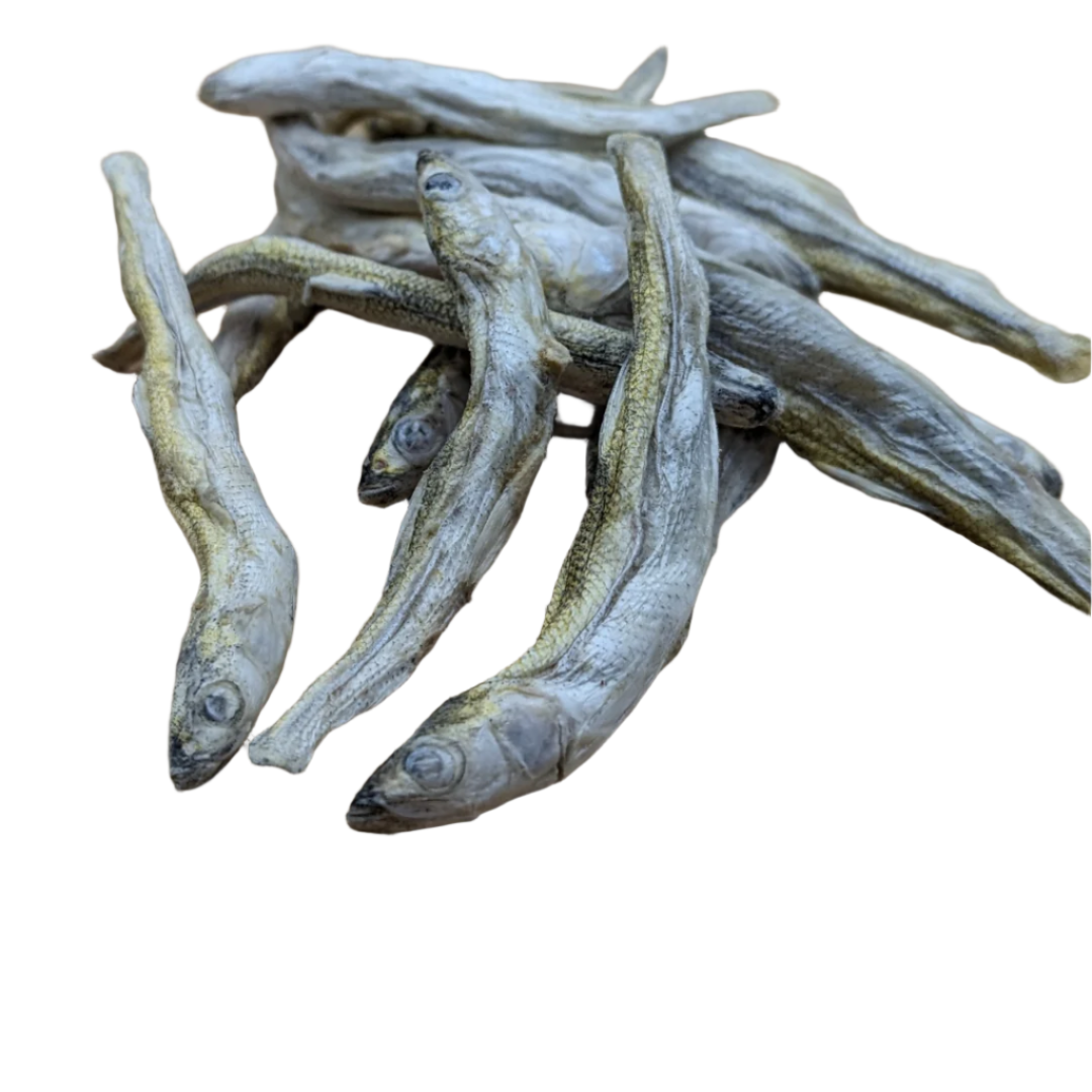 Freeze-dried Smelt 1 oz. | Wild Nosh Pets