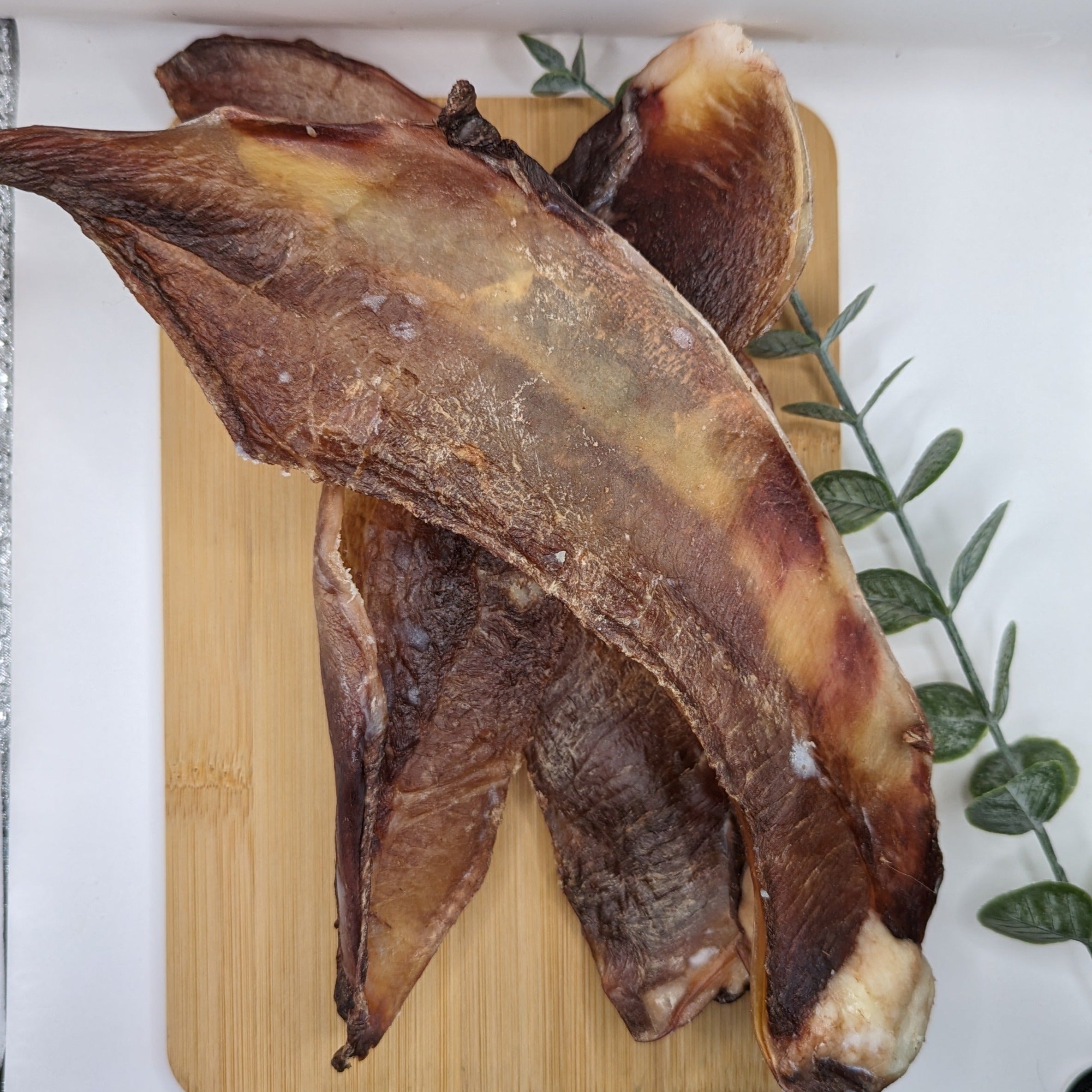 Dehydrated Bison Scapula Slice | Wild Nosh Pets